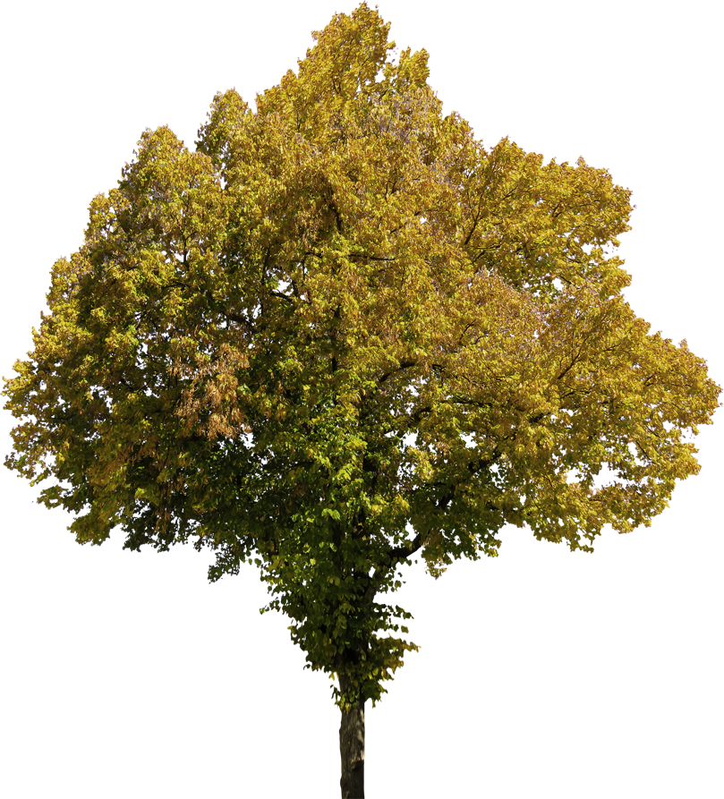 AAA Lifetime Construction – New Home Construction