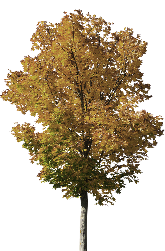 AAA Lifetime Construction – New Home Construction